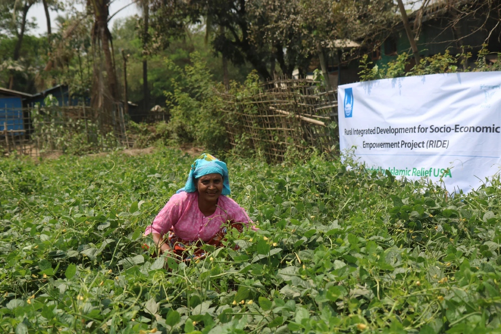 New ICJ ruling is a milestone for climate justice